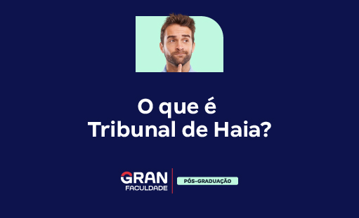 Tribunal de Haia: o que é, como funciona e onde fica?